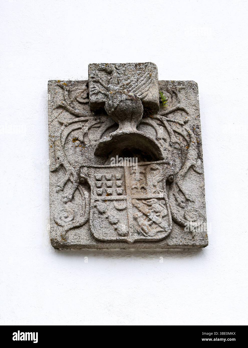 Squared coat of arms with helmet, lambrequin and quartered shield in ...