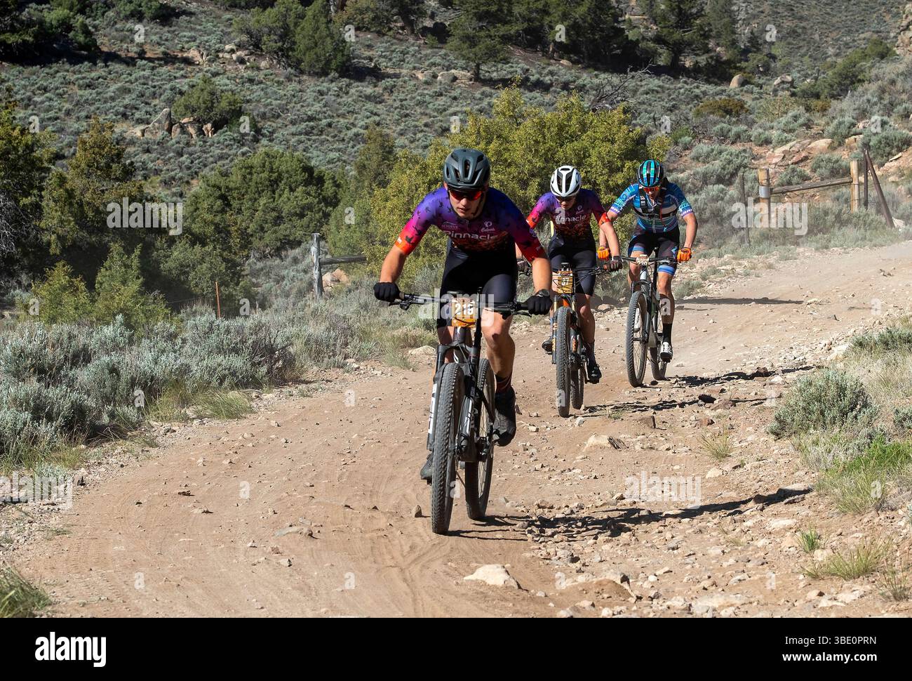 May 25, 2025. Mountain bike cyclists cross through high desert terrain ...