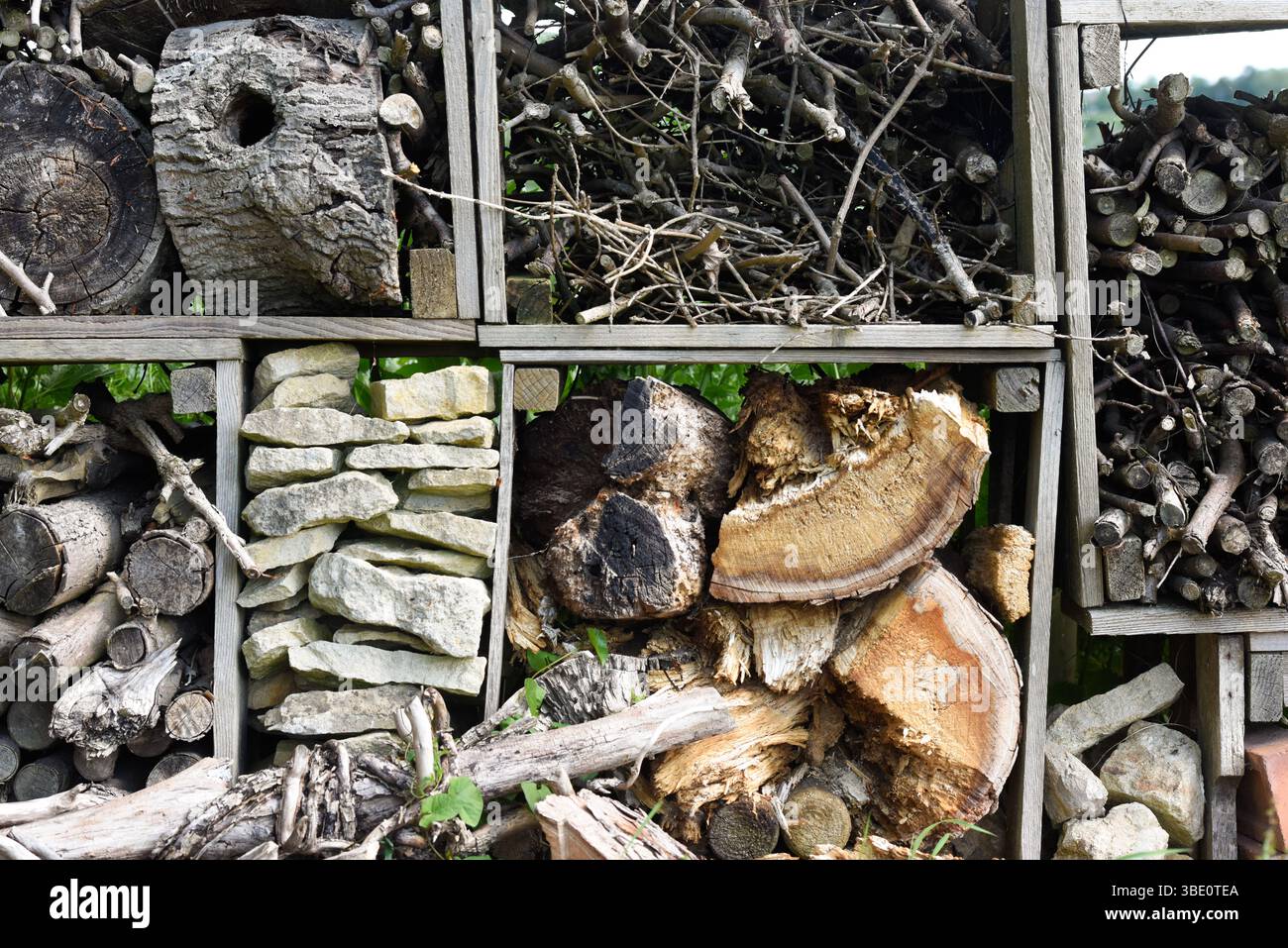 Collection of natural resources including wood timber and stone Stock ...
