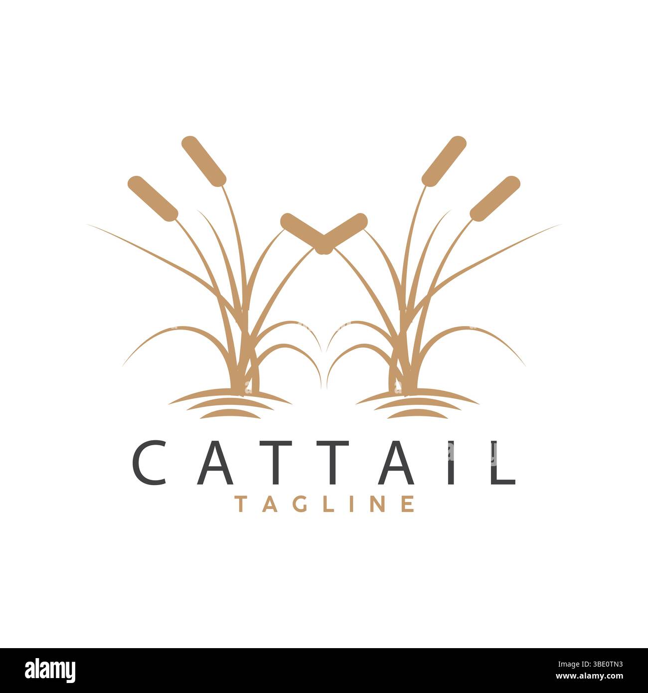 Cattail Logo Design Vector Simple Illustration Symbol Template Stock ...