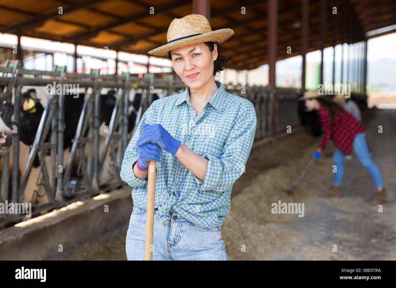 Asian female farmer posing in cowshed at the cow farm Stock Photo - Alamy