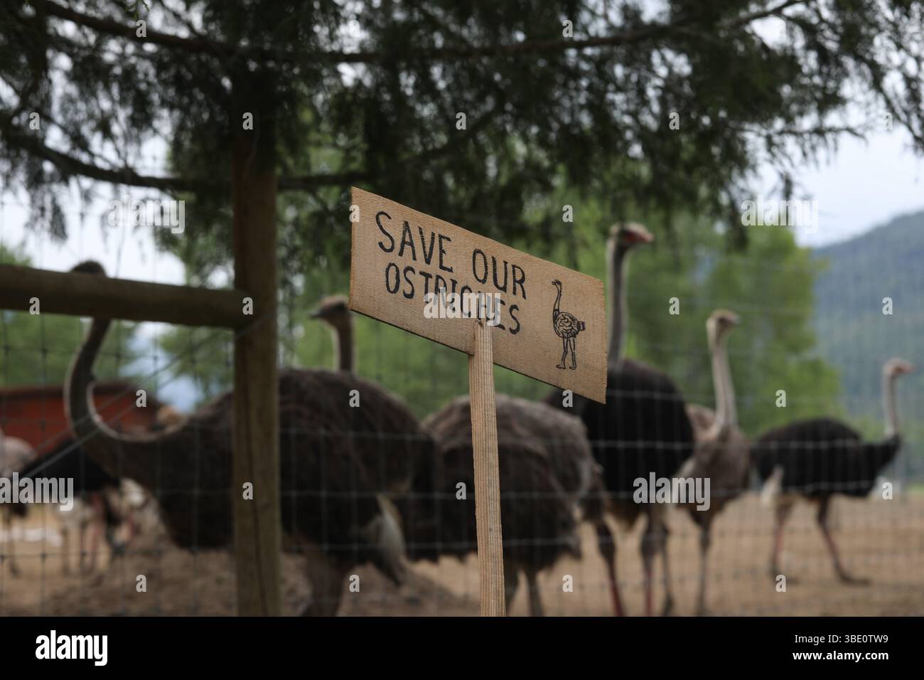 Edgewood, Canada. 17th May, 2025. A sign calling for the protection of ...
