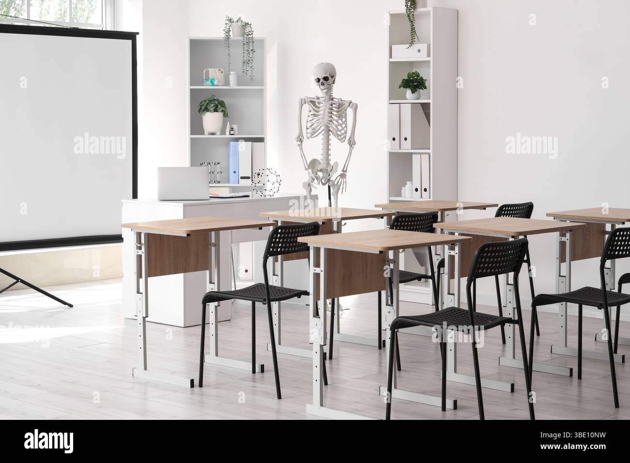 Interior of light hospital conference hall with human skeleton model ...