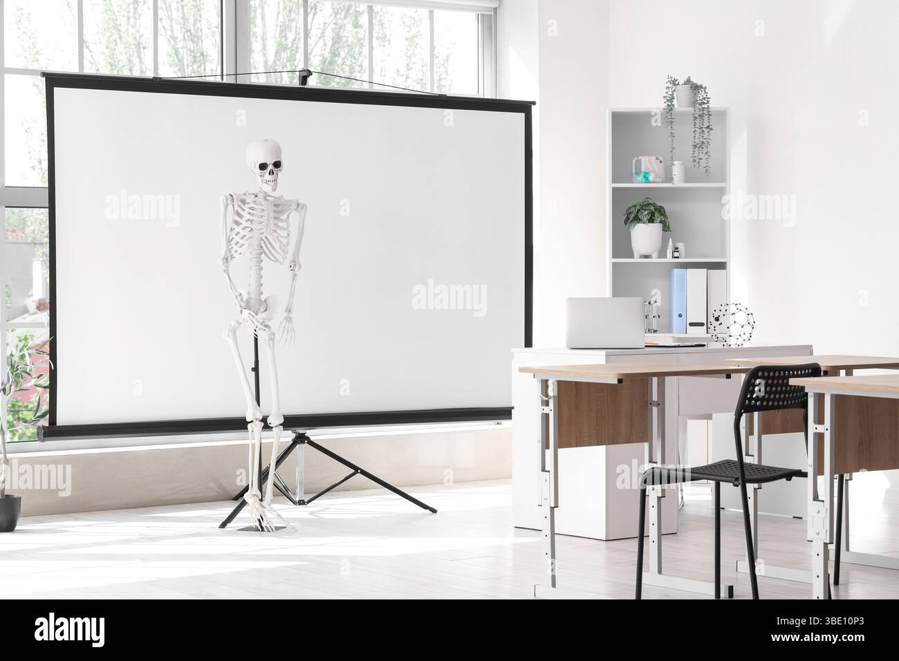 Interior of light hospital conference hall with human skeleton model ...