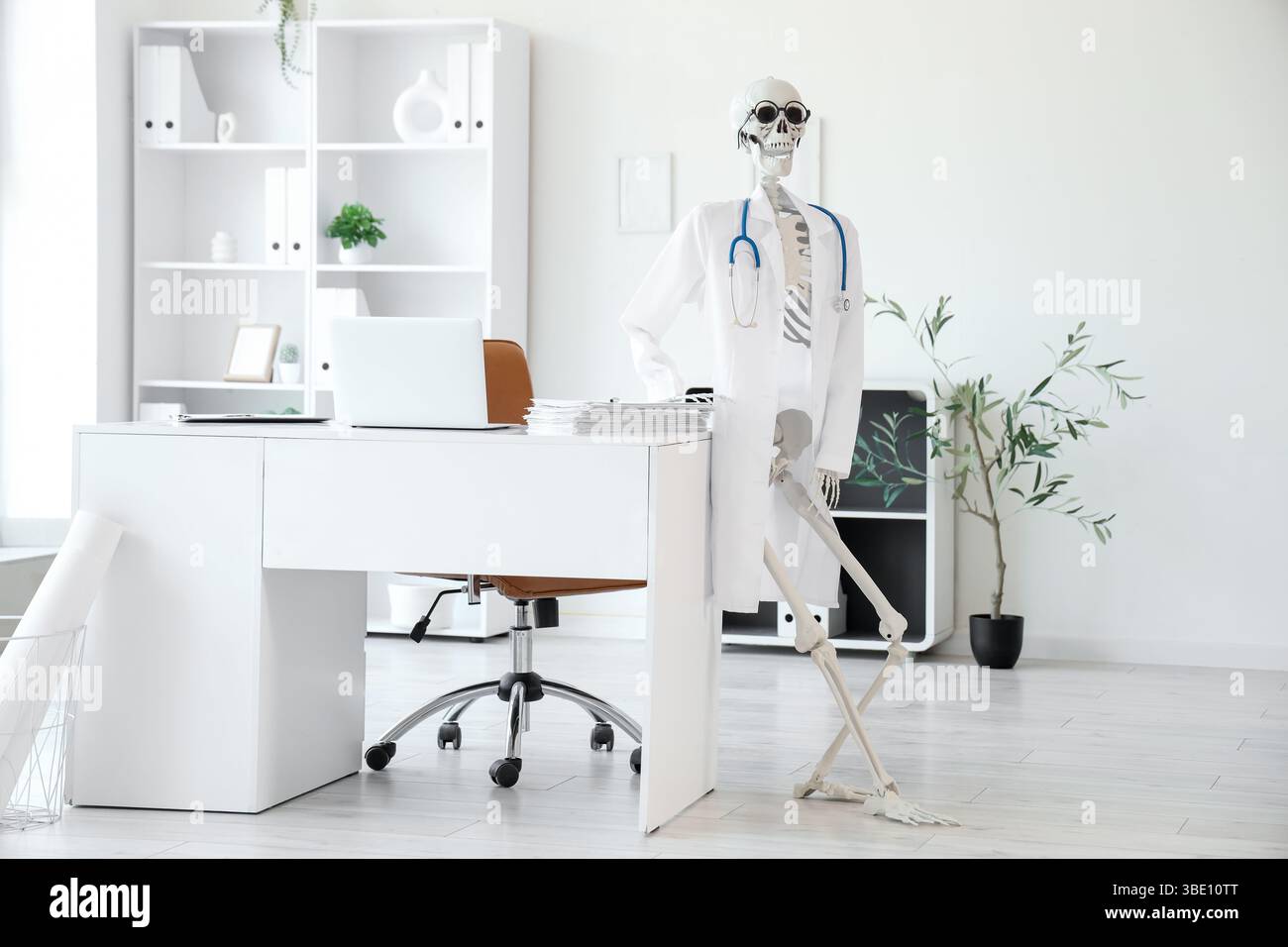 Human skeleton model with doctor's coat in medical office Stock Photo ...