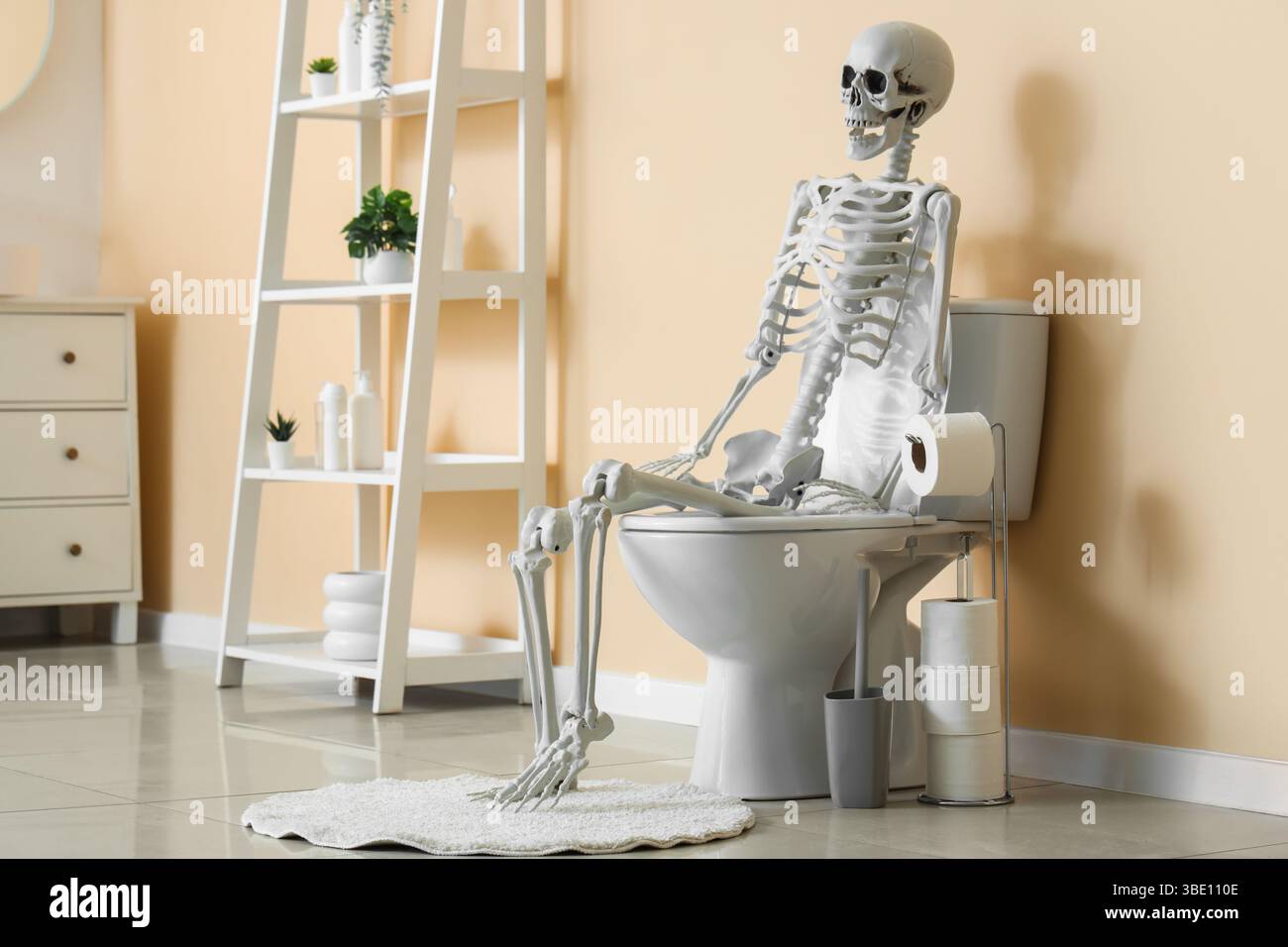 Skeleton sitting on toilet bowl in bathroom Stock Photo - Alamy