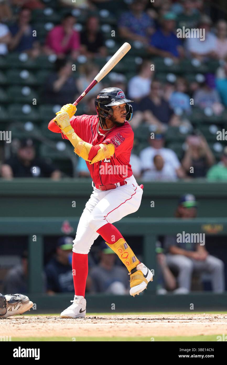 Miguel Bleis (48) of the Greenville Drive at bat in a South Atlantic ...