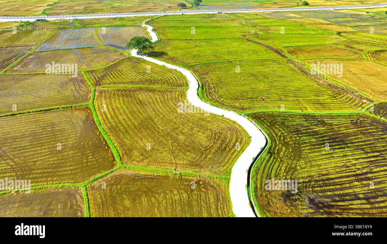 Country road in the suburbs of Phan Rang, Vietnam where rice fields and ...