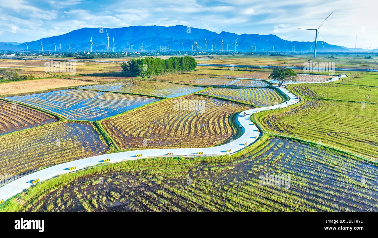 Country road in the suburbs of Phan Rang, Vietnam where rice fields and ...