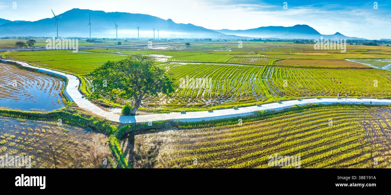 Country road in the suburbs of Phan Rang, Vietnam where rice fields and ...