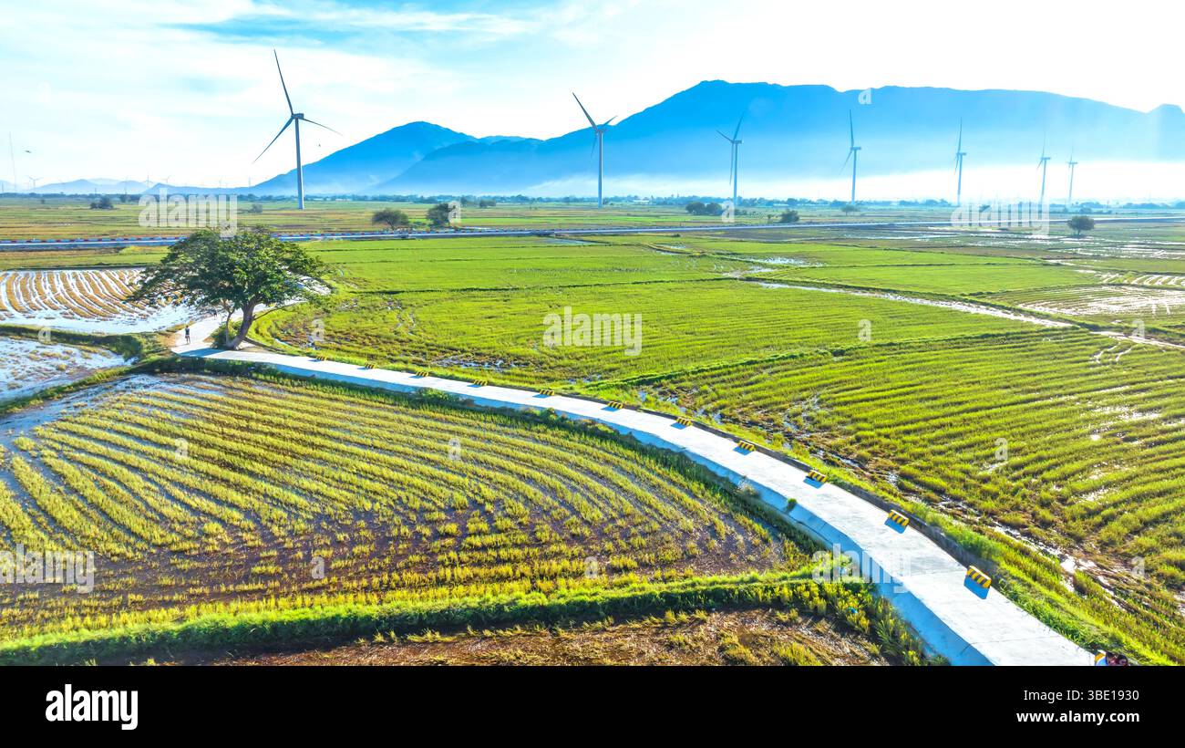 Country road in the suburbs of Phan Rang, Vietnam where rice fields and ...