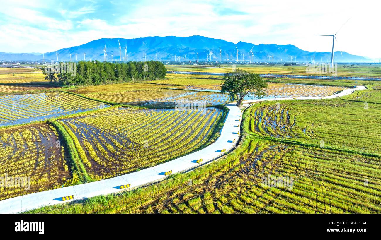 Country road in the suburbs of Phan Rang, Vietnam where rice fields and ...