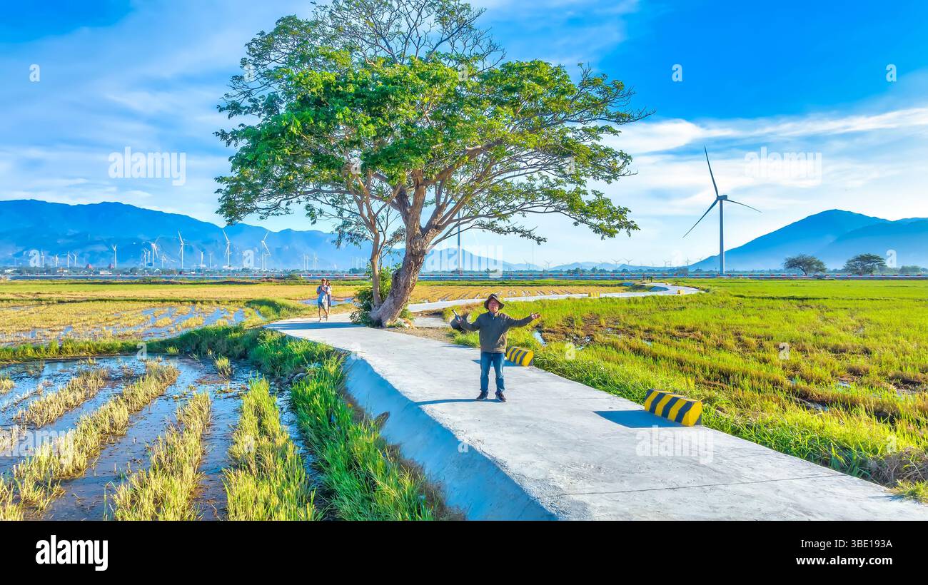 Country road in the suburbs of Phan Rang, Vietnam where rice fields and ...