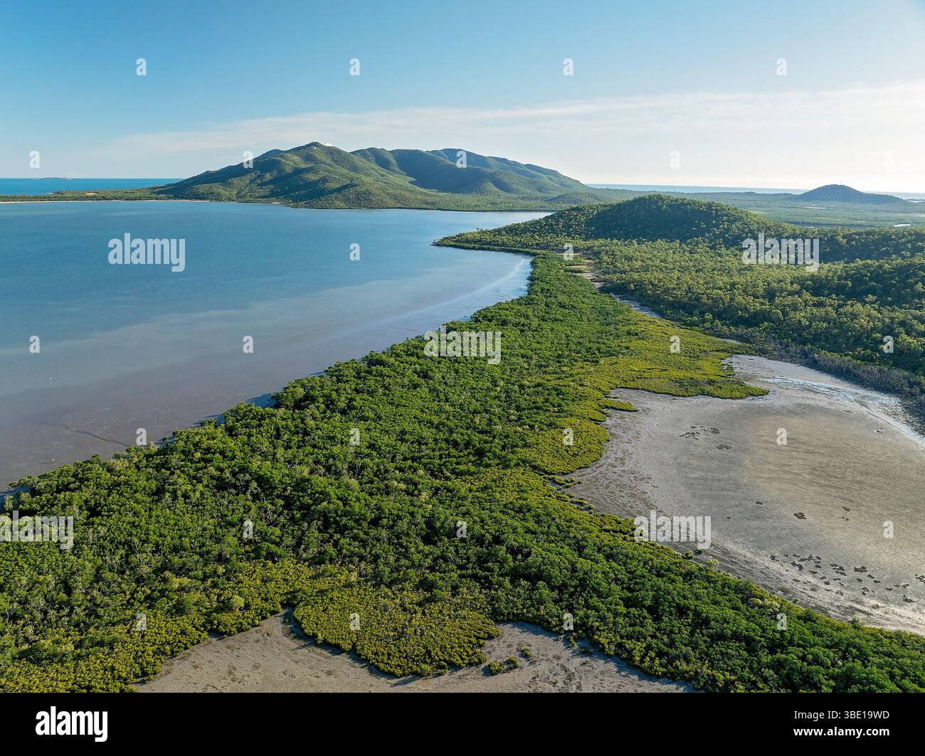 Tropical wetland edge with still water and dense green canopy Stock ...