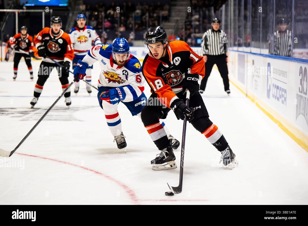 Moncton Wildcats' Markus Vidicek (6) defends against an attack by ...