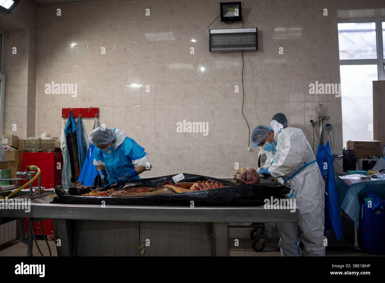EDS NOTE: GRAPHIC CONTENT - Forensic workers at a morgue in Kyiv ...