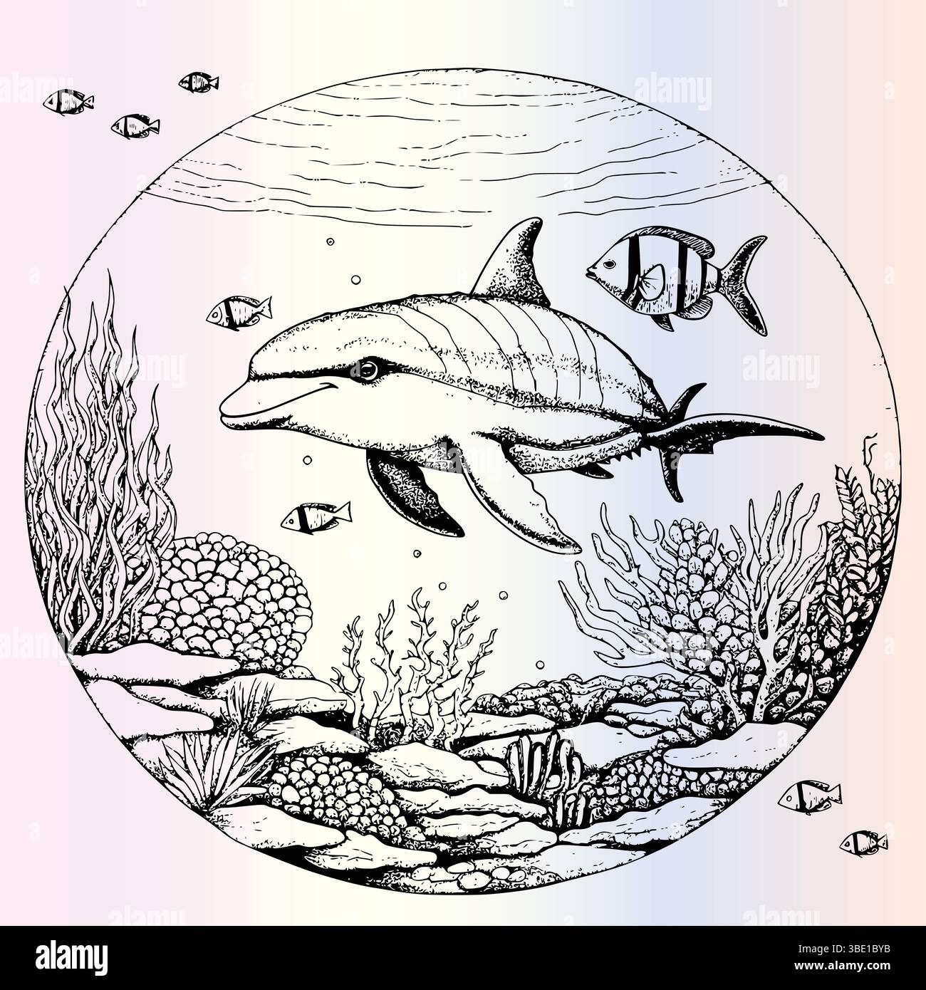 Dolphin coloring pages hi-res stock photography and images - Alamy