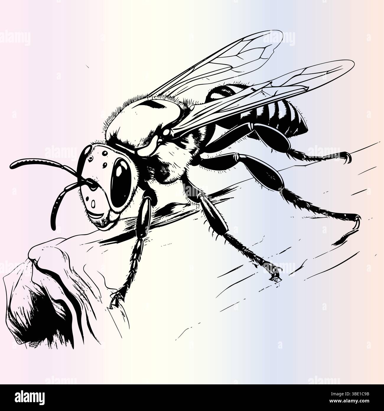 Wasps in the nest Stock Vector Images - Alamy