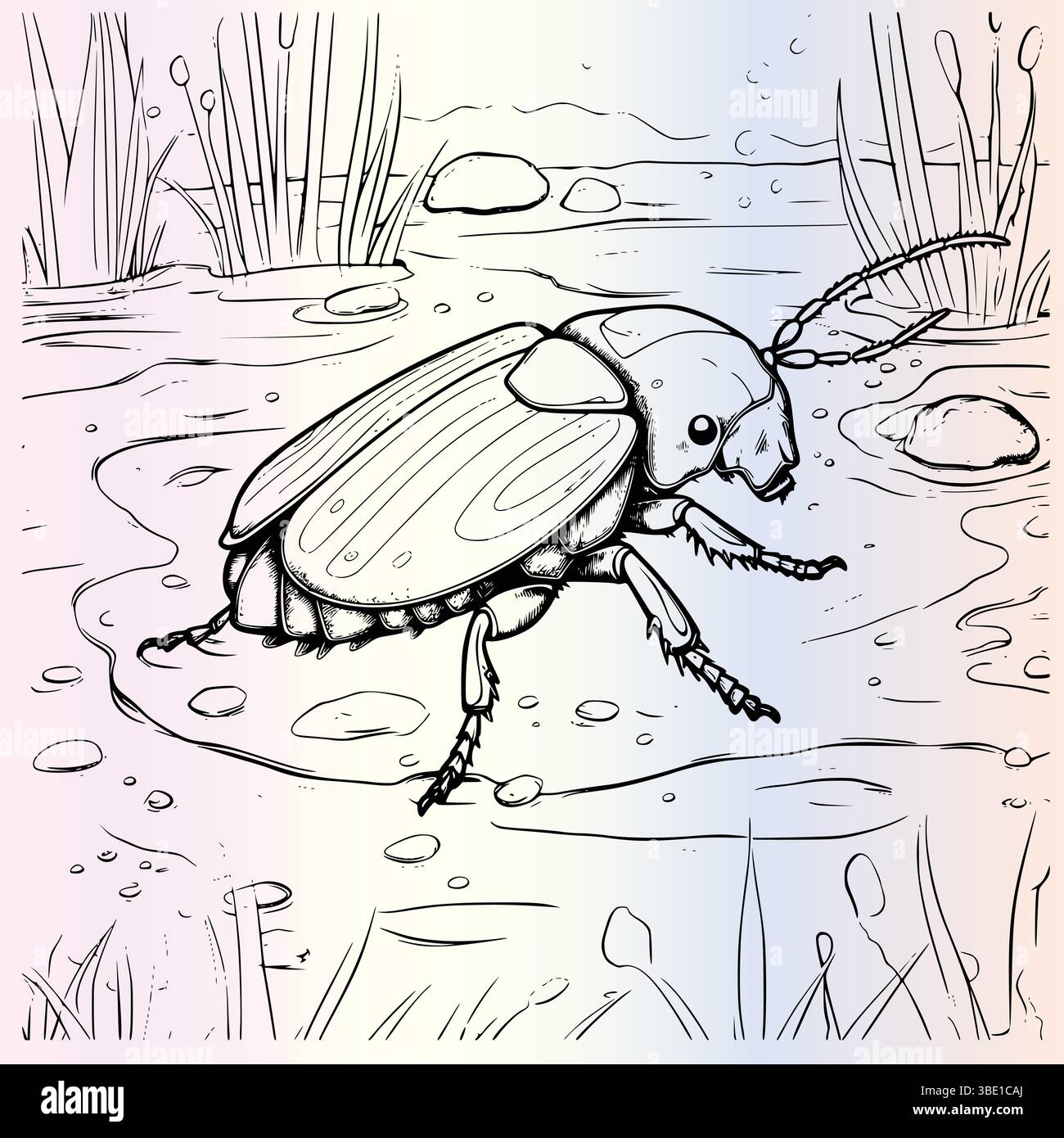 Simple water beetle coloring hi-res stock photography and images - Alamy