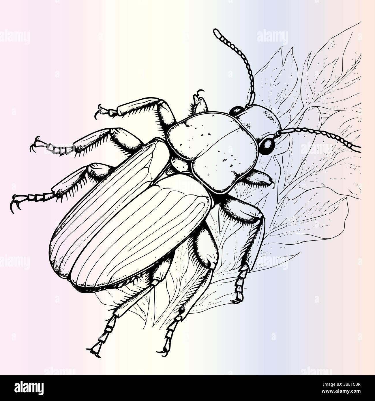 Water Beetle Coloring Page For Kids Stock Vector Image & Art - Alamy