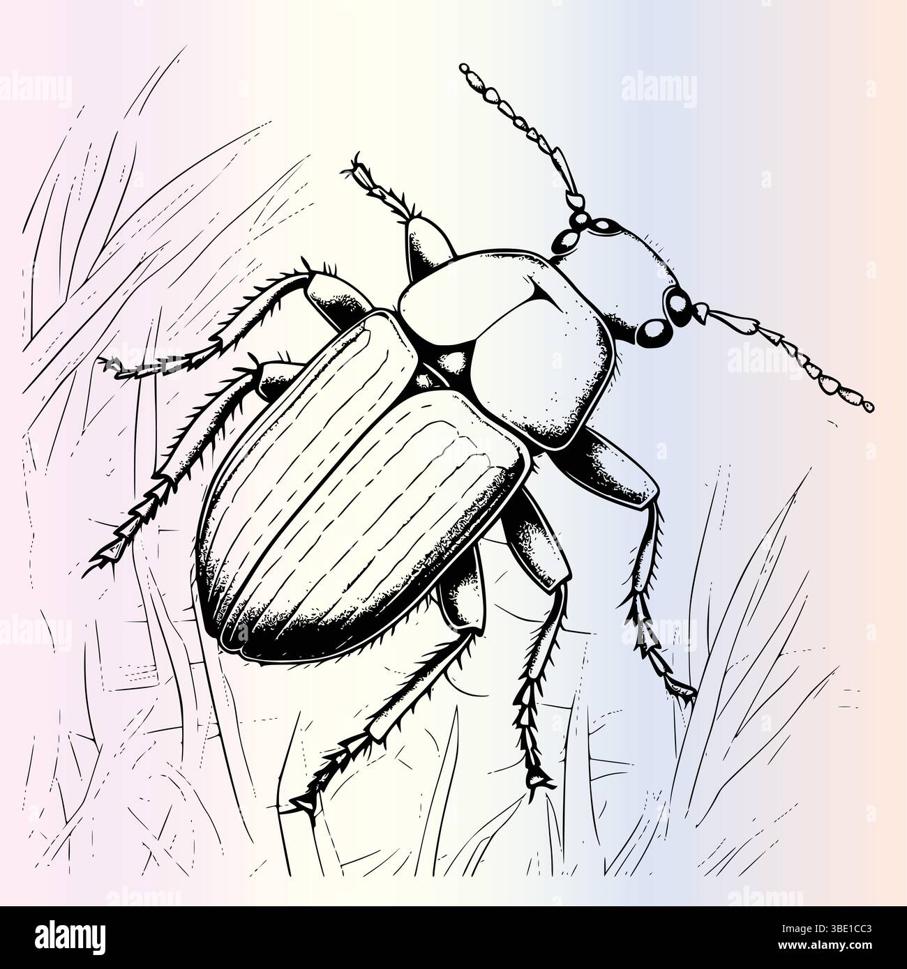 Water Beetle Coloring Page For Kids Stock Vector Image & Art - Alamy