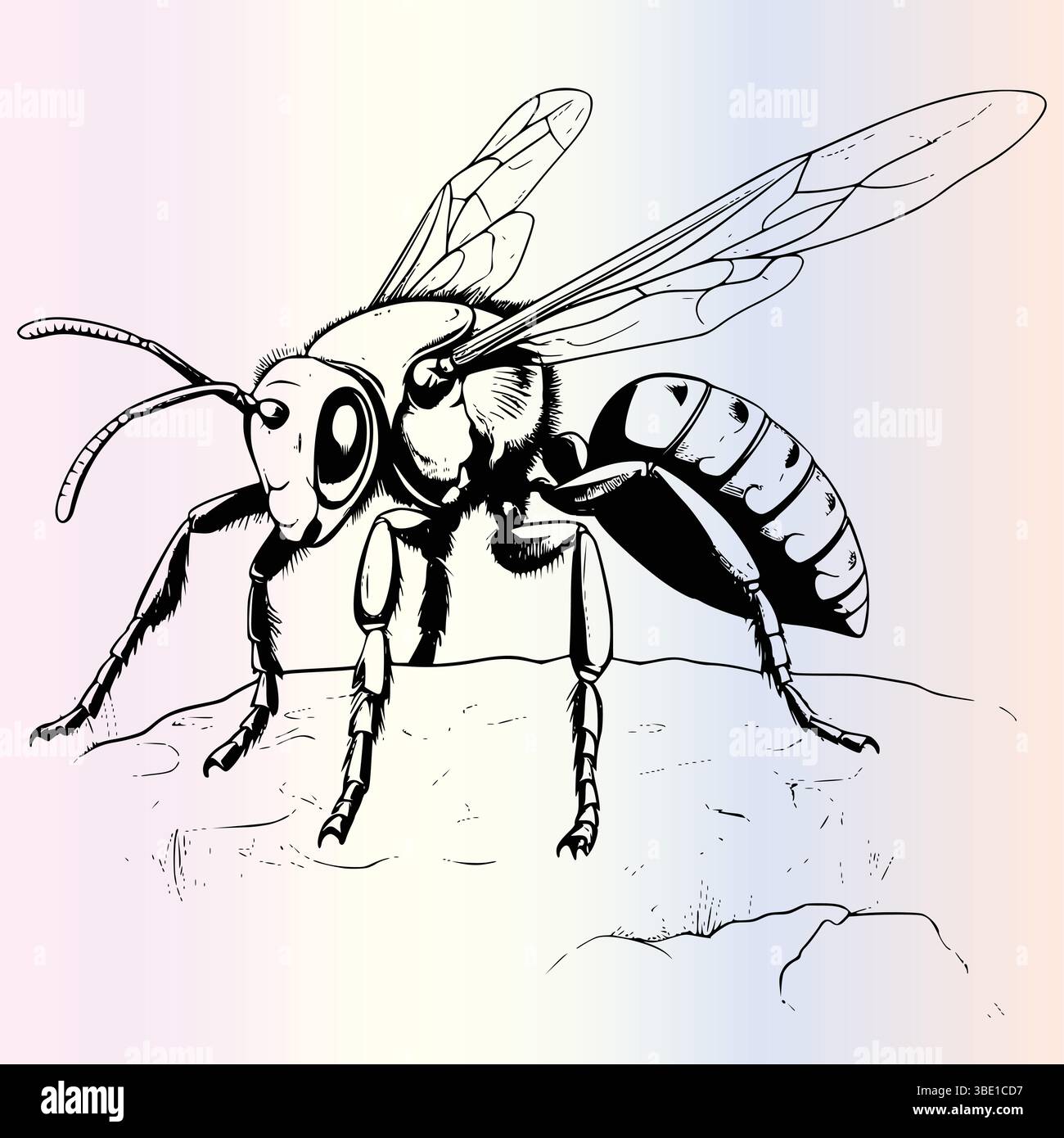 Wasp coloring page hi-res stock photography and images - Alamy