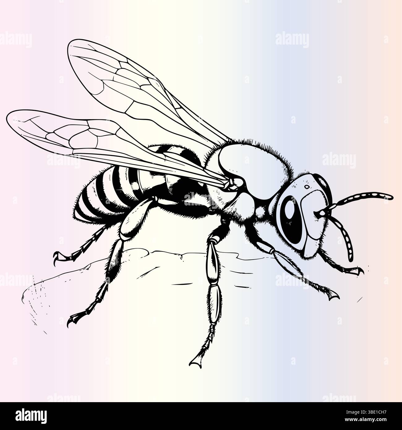 Wasp Coloring Page for Kids Stock Vector Image & Art - Alamy