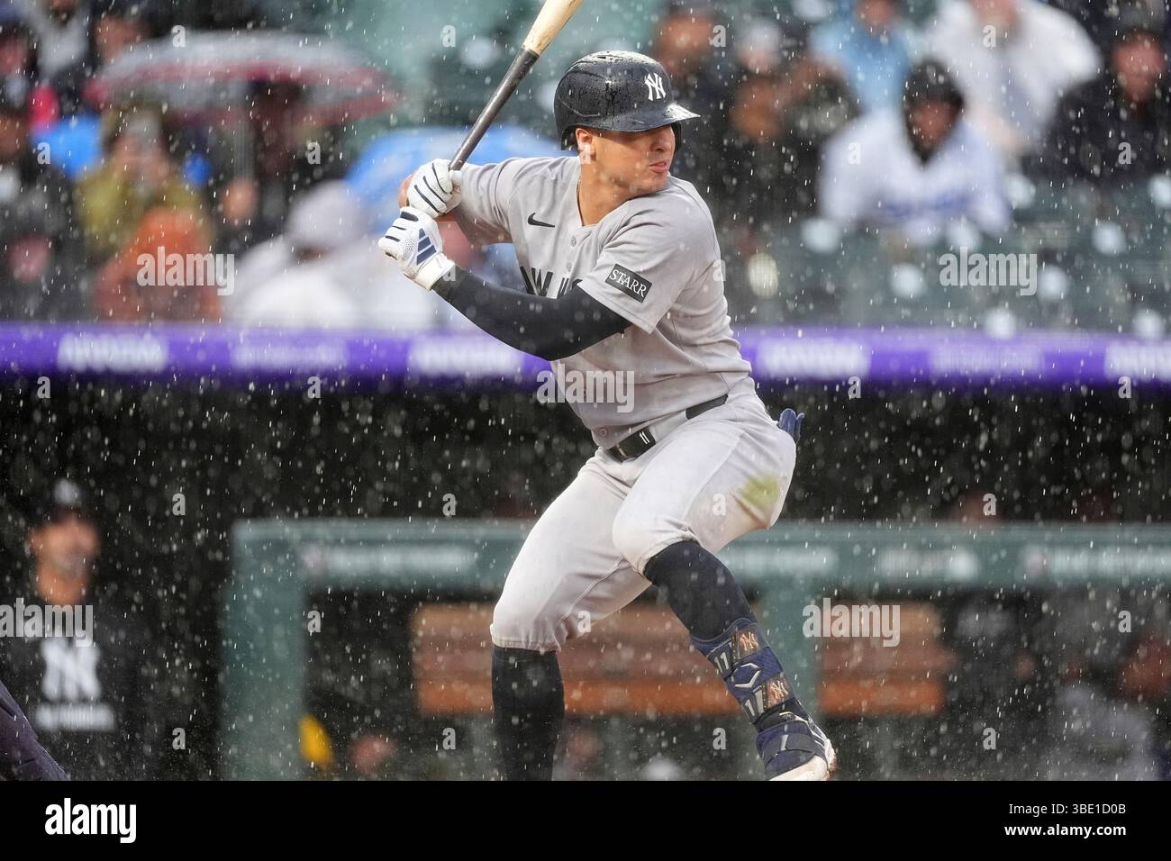 New York Yankees shortstop Anthony Volpe (11) in the top of the fifth inning of a baseball game ...