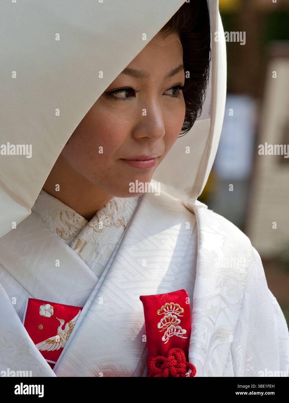 Japanese wedding bride wearing a traditional shiromuku (白無垢) white ...