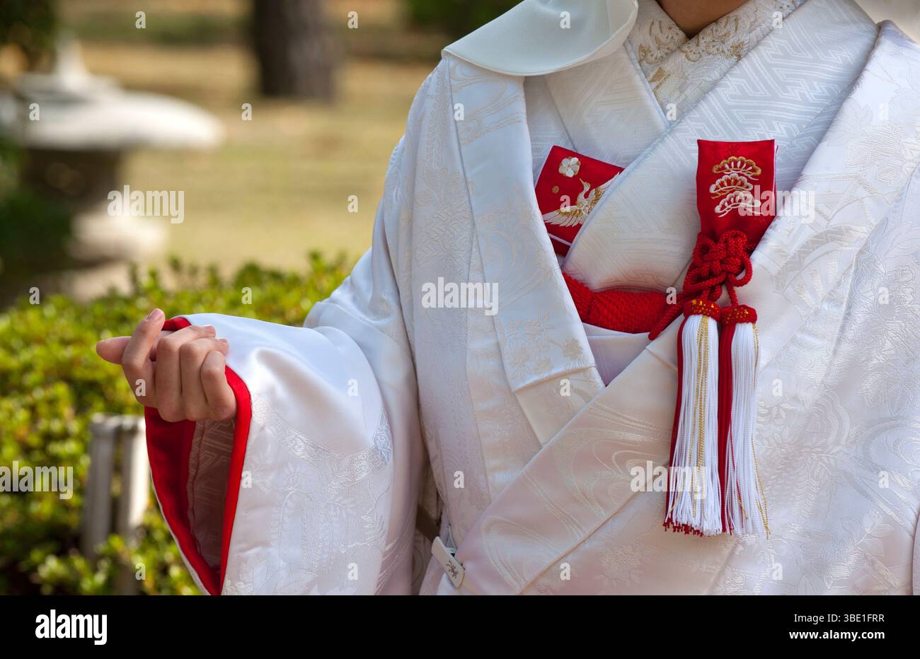 Japanese wedding bride wearing a traditional "shiromuku" white kimono ...