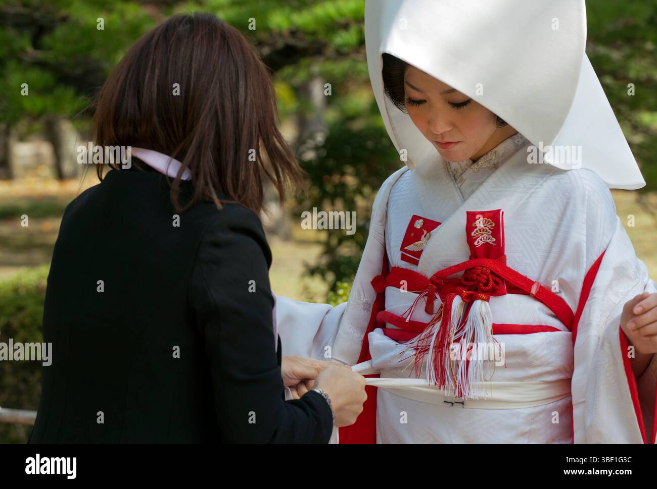 Japanese wedding bride wearing a traditional shiromuku (白無垢) white ...
