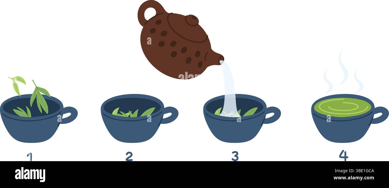 Steps green tea brewing from pouring hot drink into cups and boiling ...