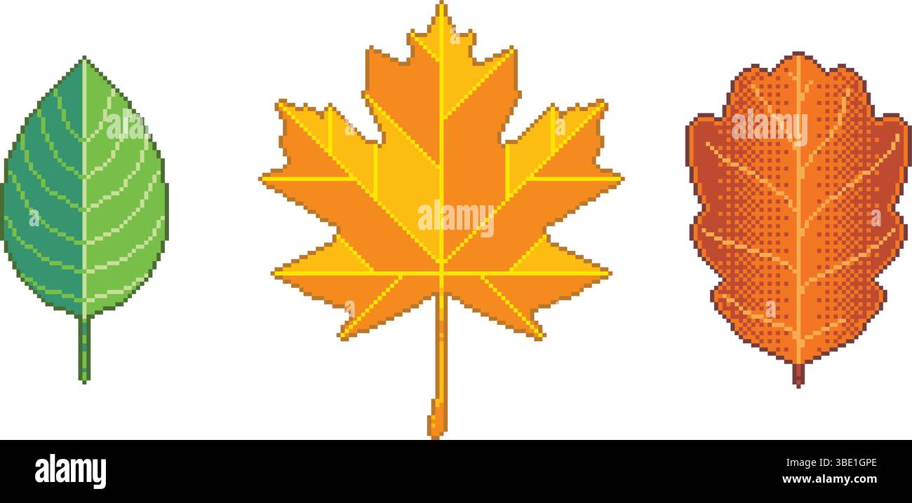 Pixel art leaves set. Maple, oak and birch foliage seasonal design for ...
