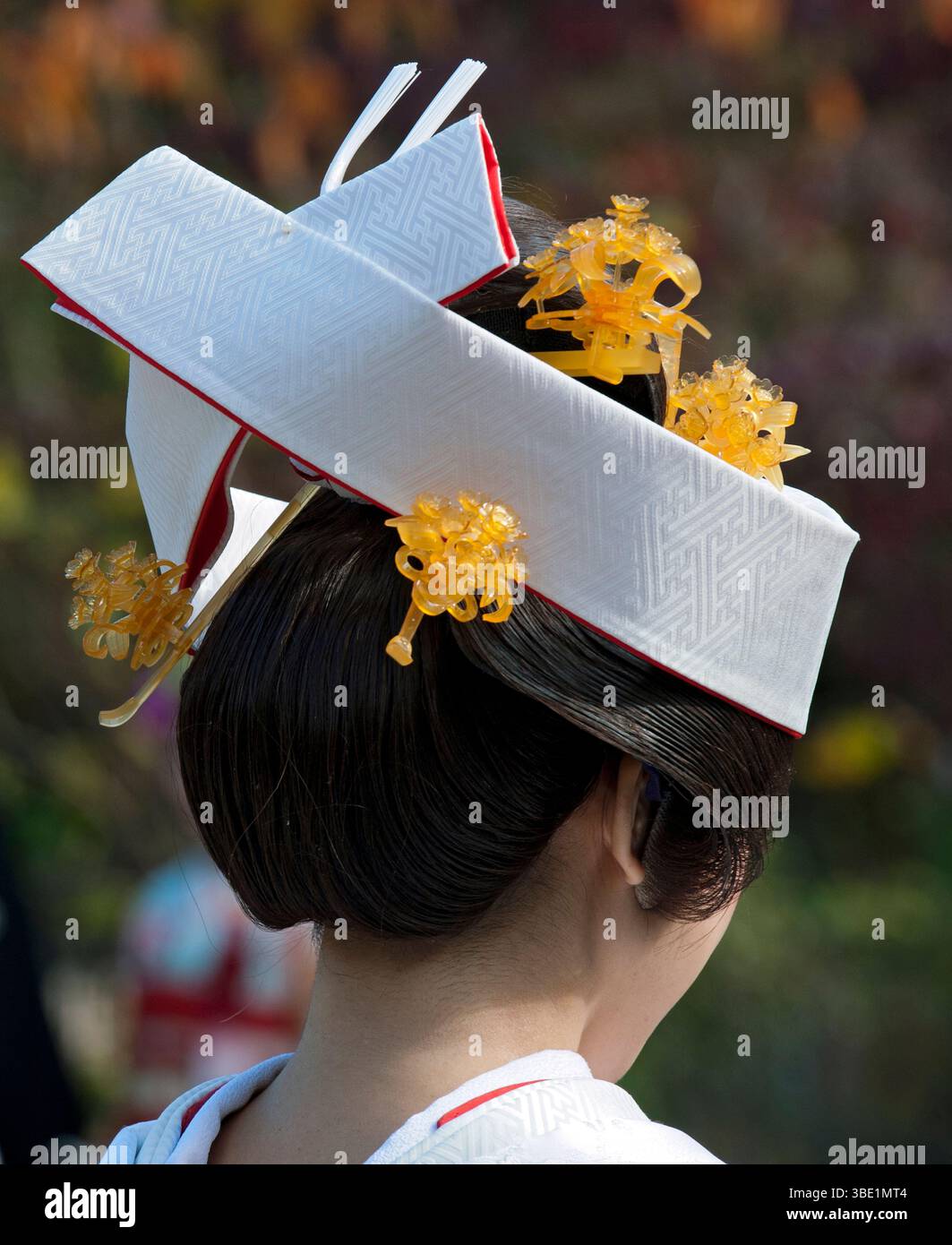 Japanese wedding bride wearing traditional "shiromuku" white kimono and ...