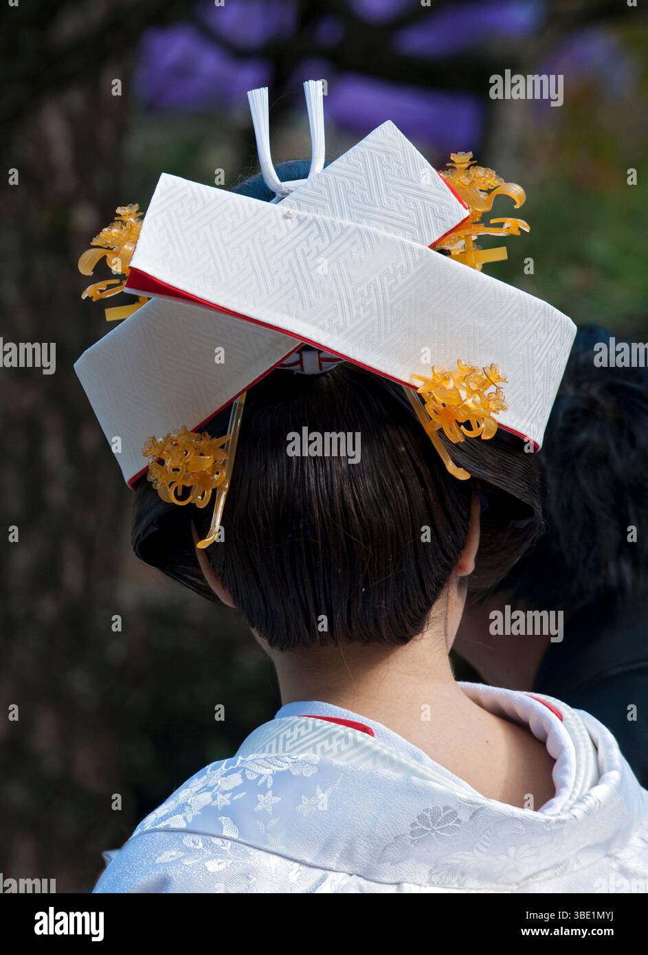 Japanese wedding bride wearing traditional "shiromuku" white kimono and ...