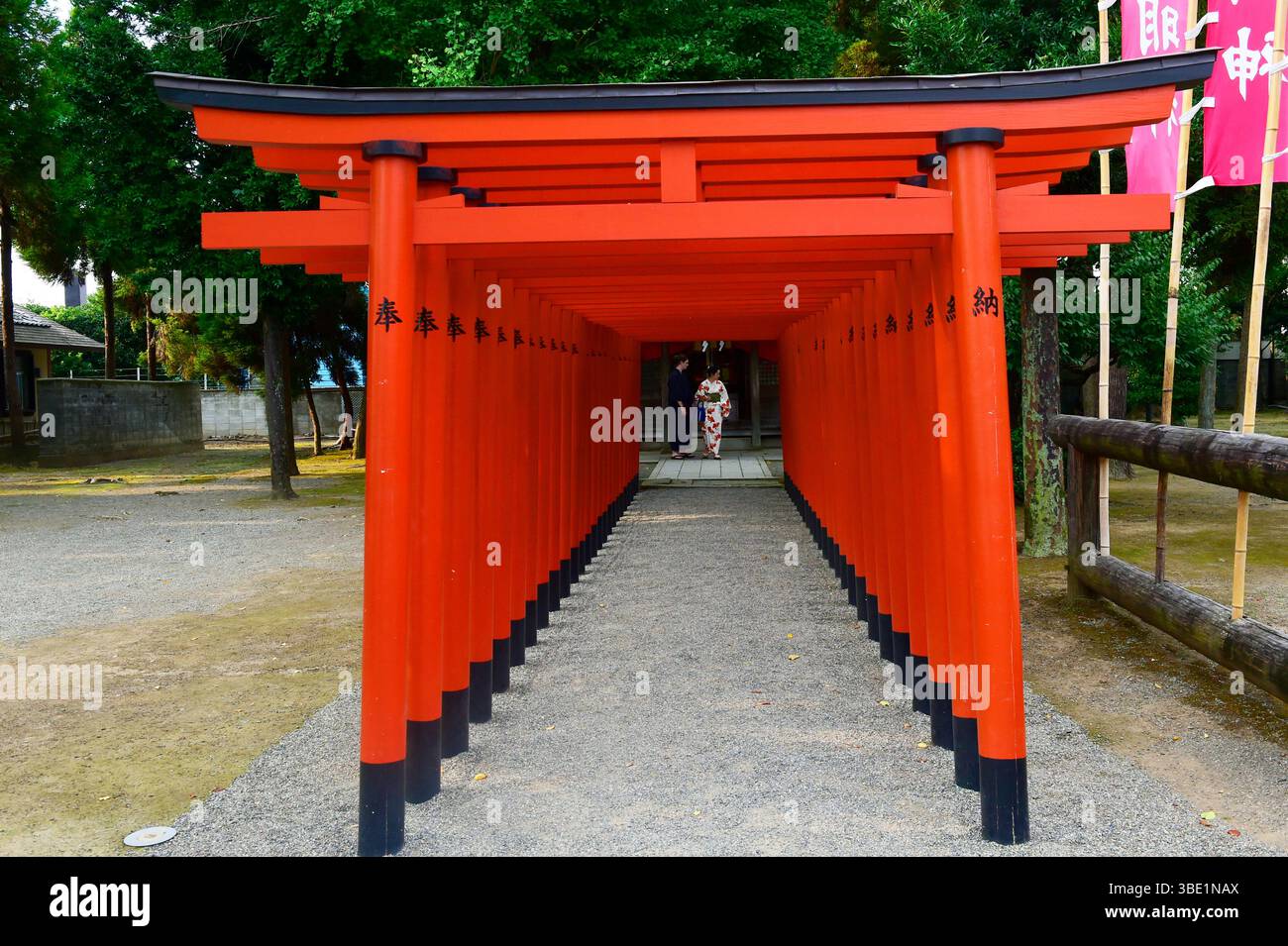 Torii gates,shinto sanctuary,Suizenji garden,Kumamoto,Japan,Asia Stock ...