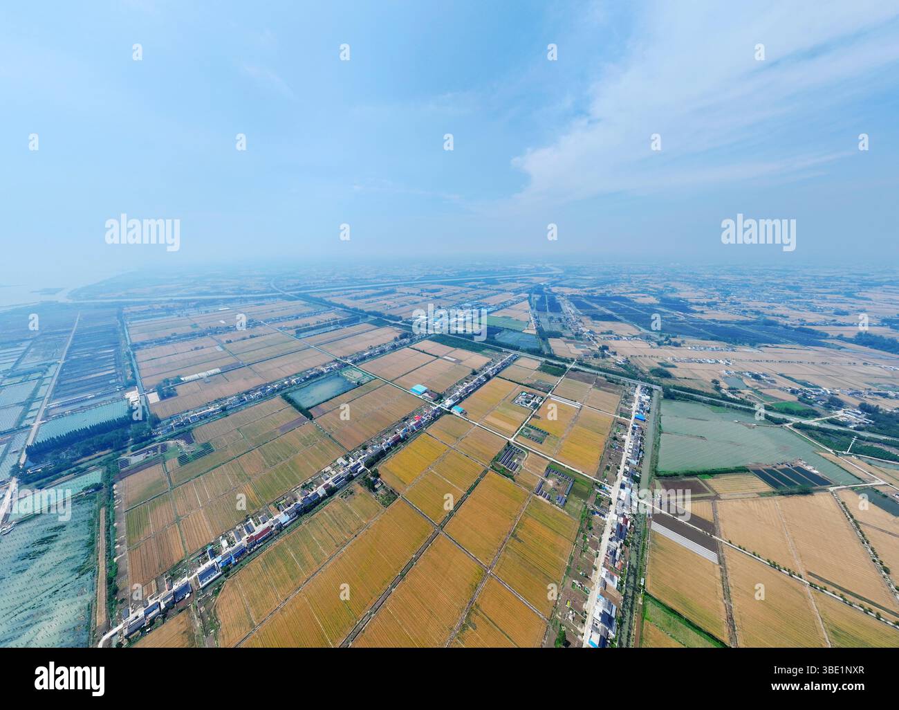 Aerial photo shows the wheat field scenery in Yangzhou City, east China ...