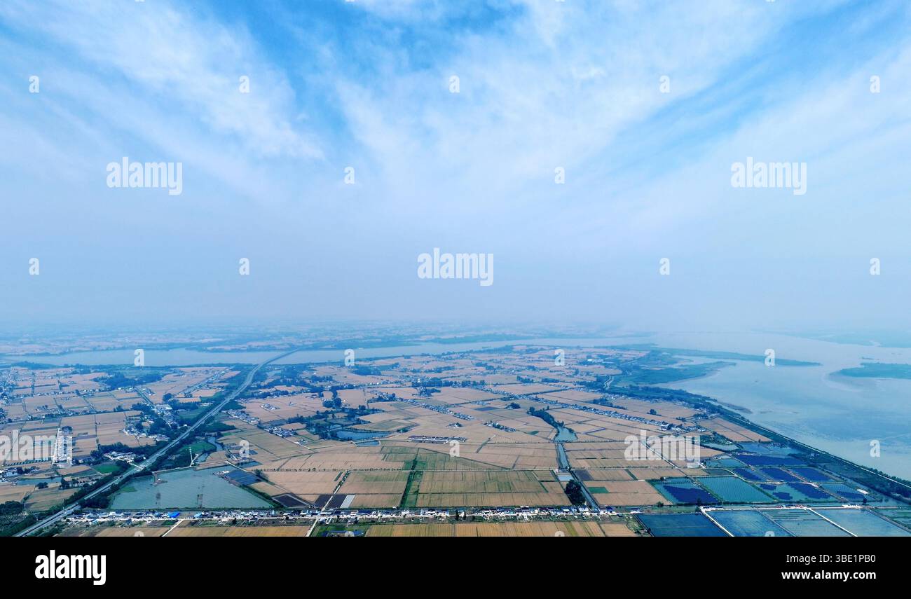 Aerial photo shows the wheat field scenery in Yangzhou City, east China ...
