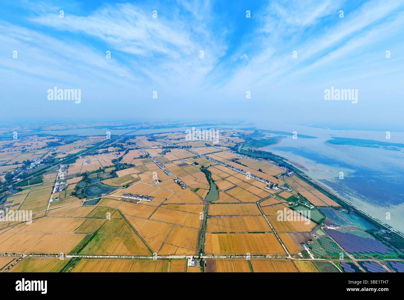 Aerial photo shows the wheat field scenery in Yangzhou City, east China ...