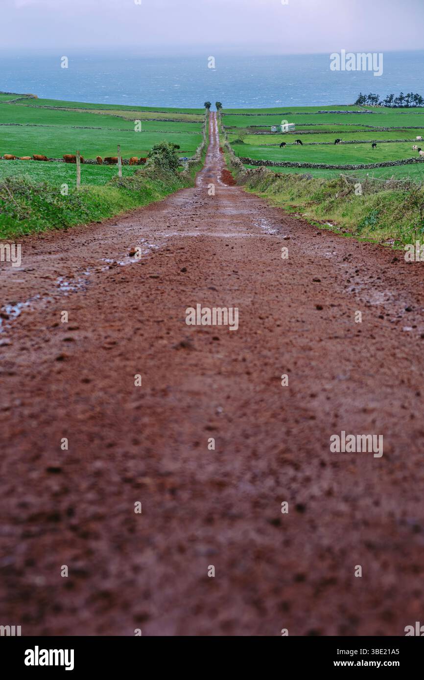 Winding Rustic Dirt Road Leading Through Green Fields to the Coastline ...