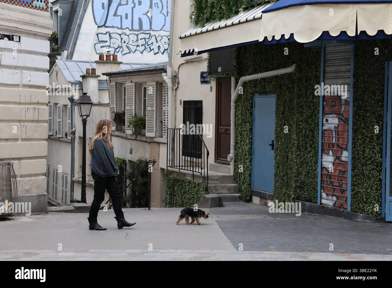 Woman Walking Small Dog Past Green Facade and Street Art in Montmartre, Paris Stock Photo - Alamy
