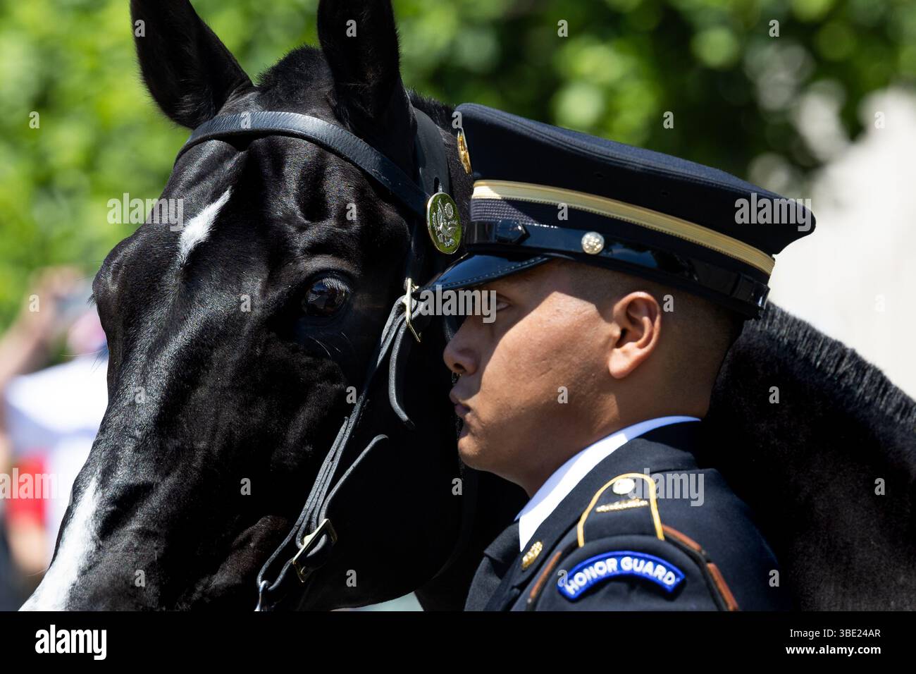 The U.S. Army Band "Pershing's Own" Ceremonial Band and other units ...