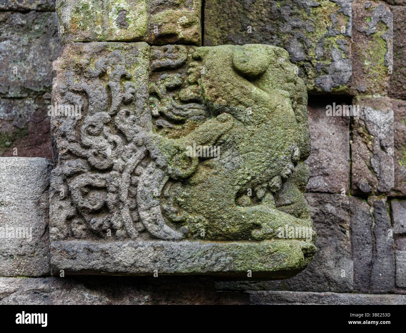 Makara hi-res stock photography and images - Alamy