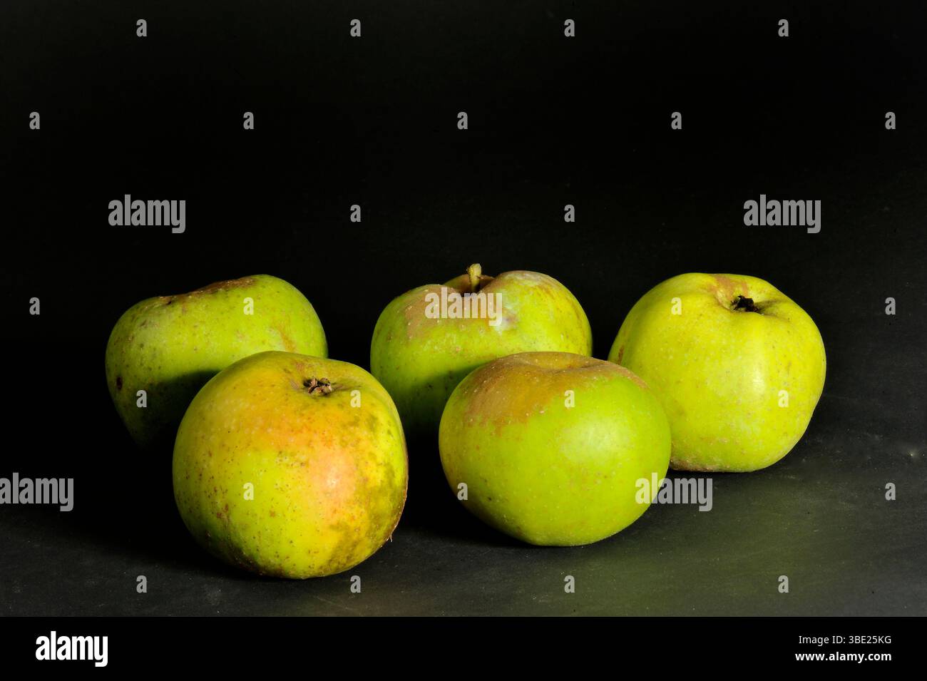 Old Breton variety of "Dente ou feuille morte" apple, Illifaut ...
