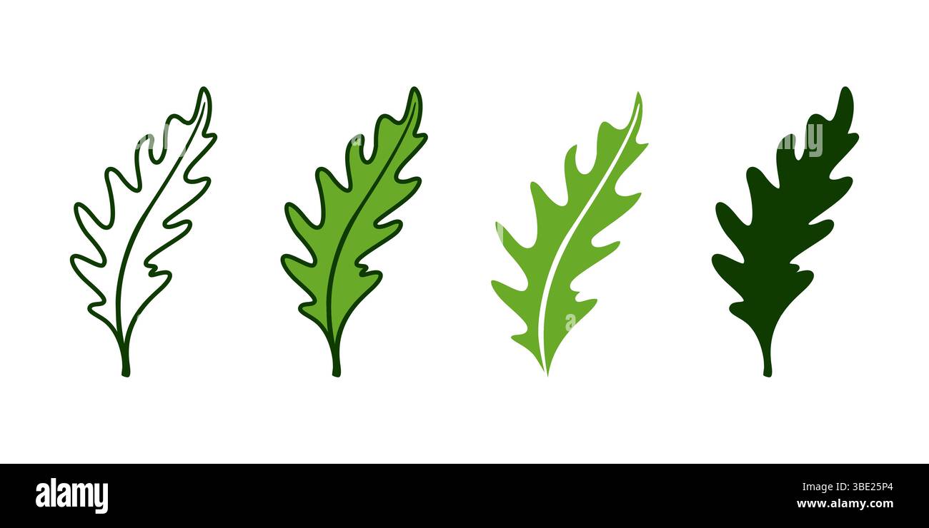 Arugula leaf icon set, logo collection, leafy vegetables. Microgreen ...