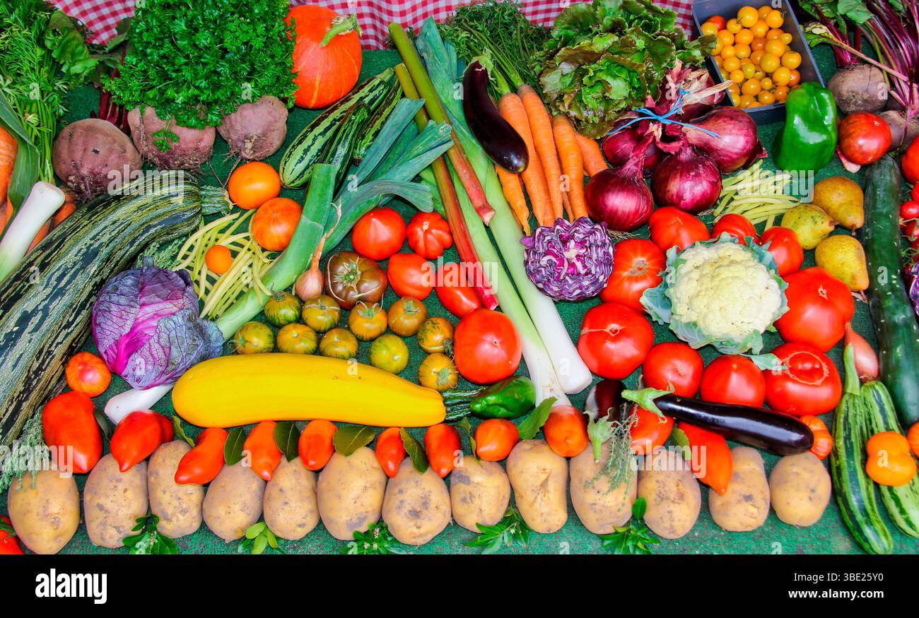 Vegetable display at an agricultural show, Sarthe, France Stock Photo ...