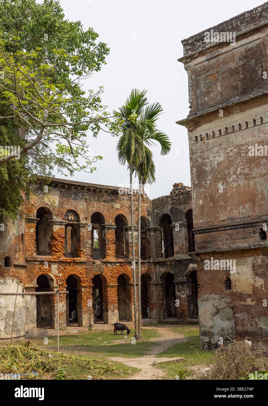 Abandonned Teota Zamindar Bari, Dhaka Division, Shivalaya, Bangladesh Stock Photo - Alamy
