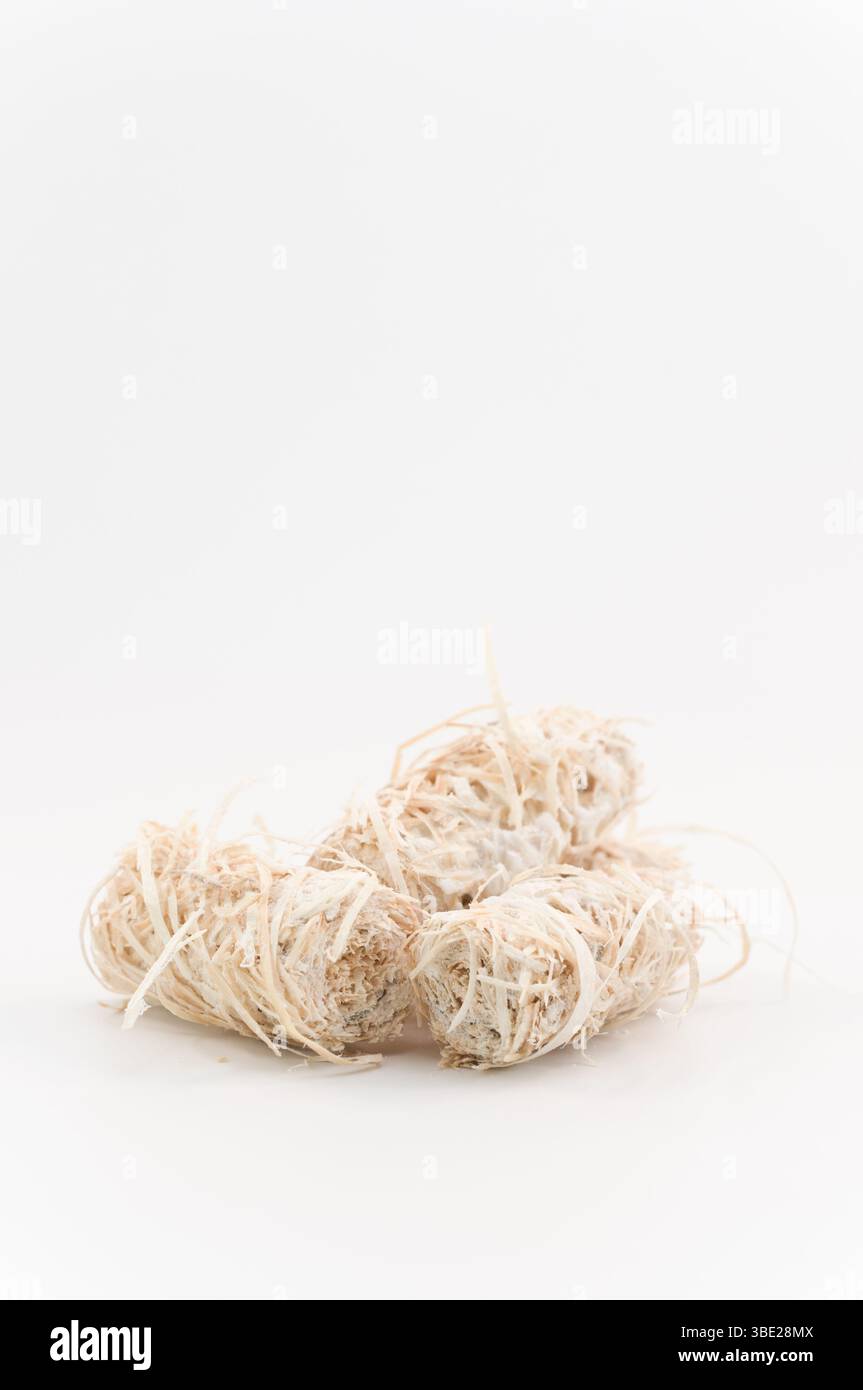 waxed wood shavings fire starter on a white background Stock Photo - Alamy