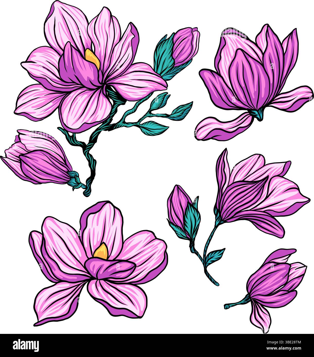Collection of magnolia flower bouquet and leaves clip art, Magnolia ...