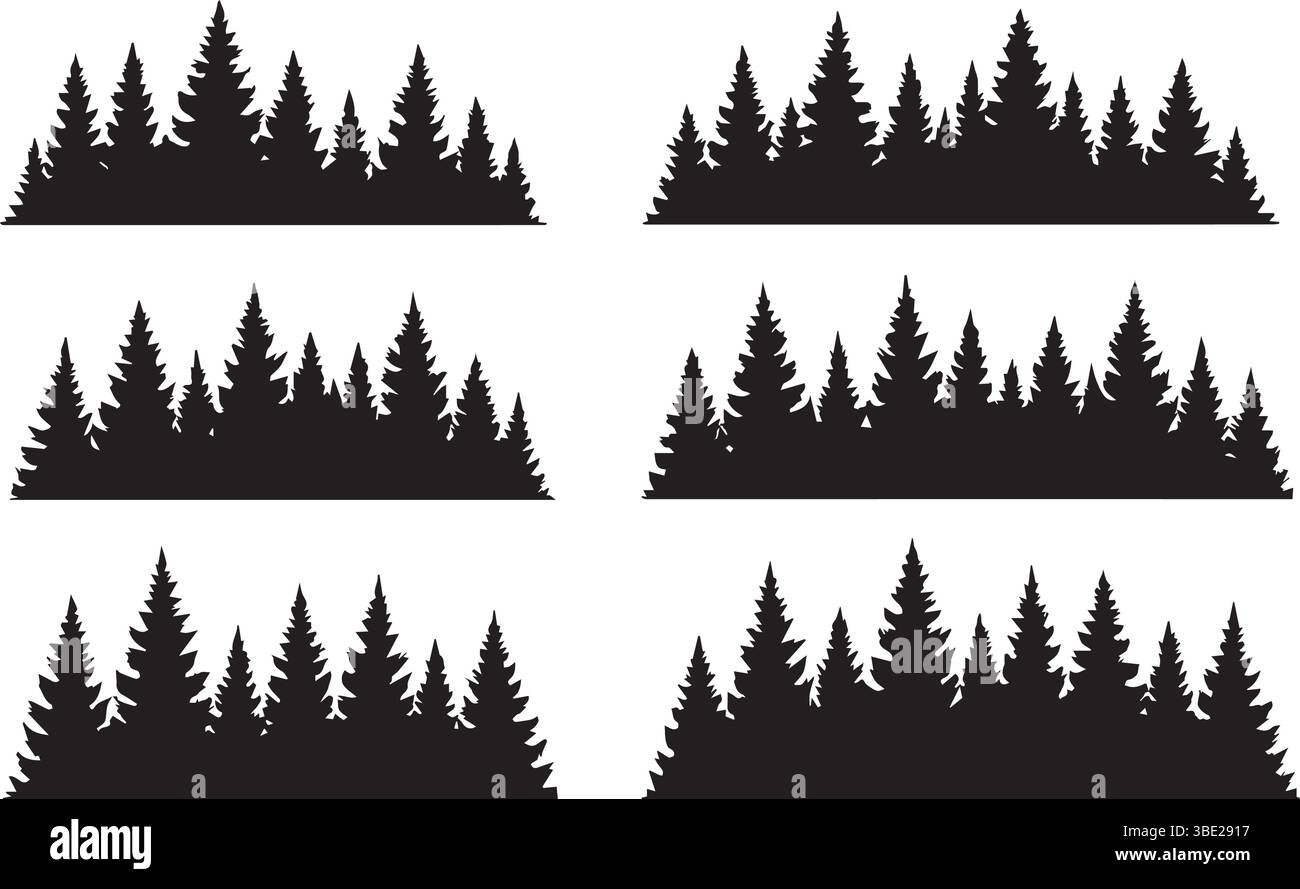 Silhouettes of evergreen coniferous forest trees isolated on white ...